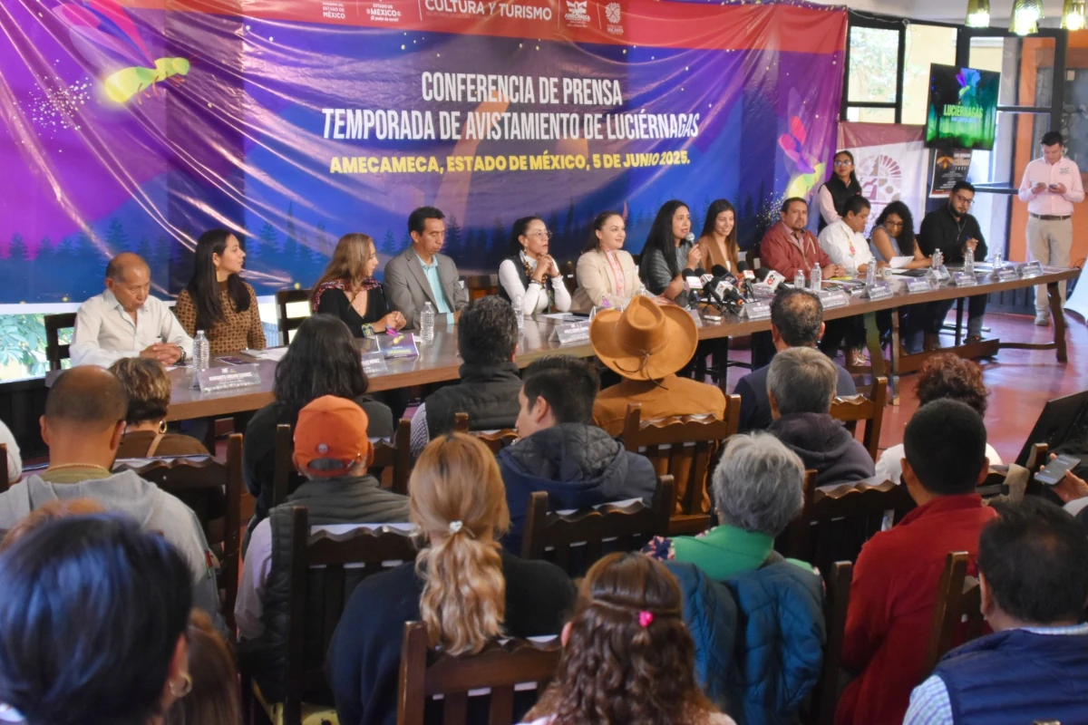 Arranca la temporada de avistamiento de luciérnagas. ¡Vive la ...